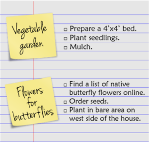 Starting a Garden? Answer These 8 Questions First. – Gardens That Matter