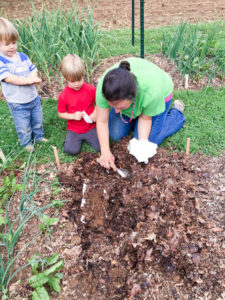 How to Make Seed Strips – Gardens That Matter