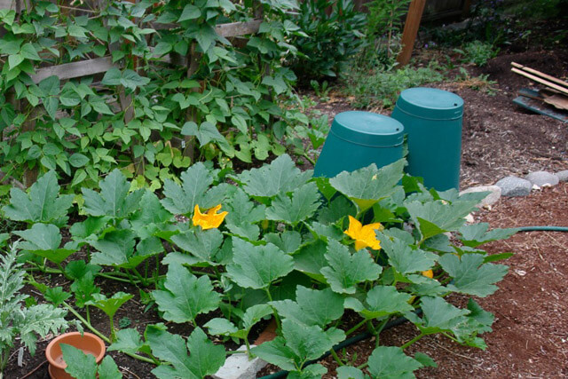 best-compost-method-13 – Gardens That Matter