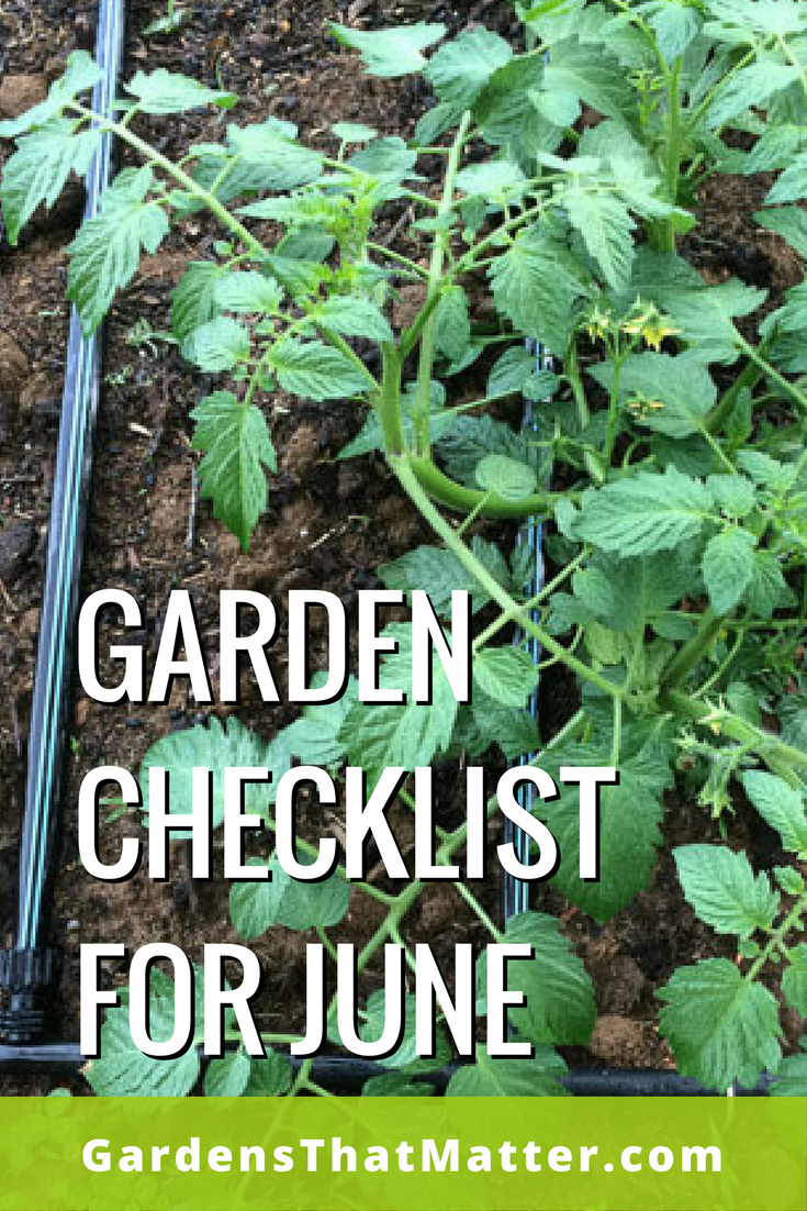 Gardening Tasks To Do in June – Gardens That Matter