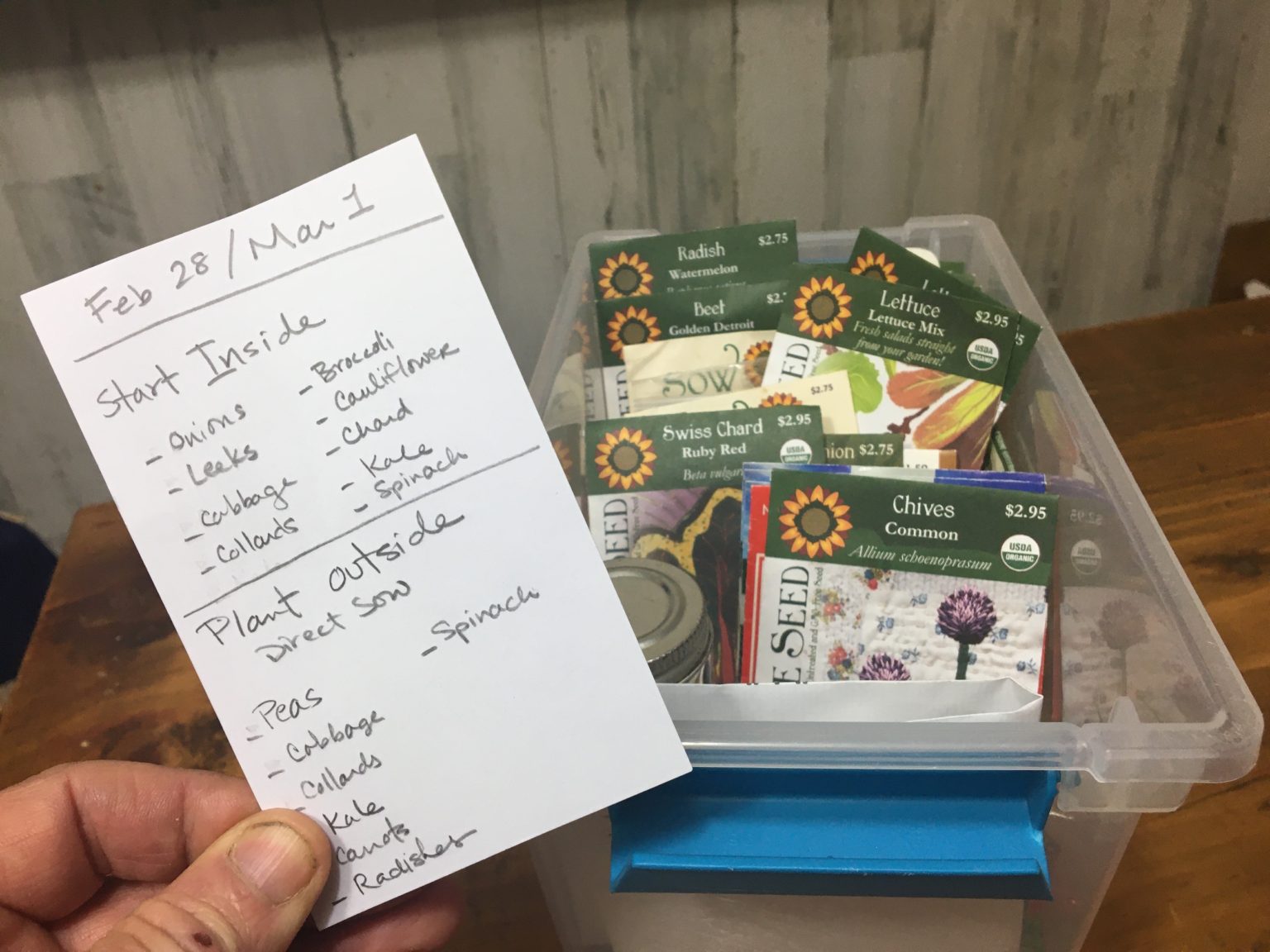 How to Store and Organize Seeds – Gardens That Matter
