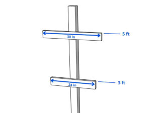 How to Build a T-Trellis for Raspberries and Blackberries (Step-by-Step ...
