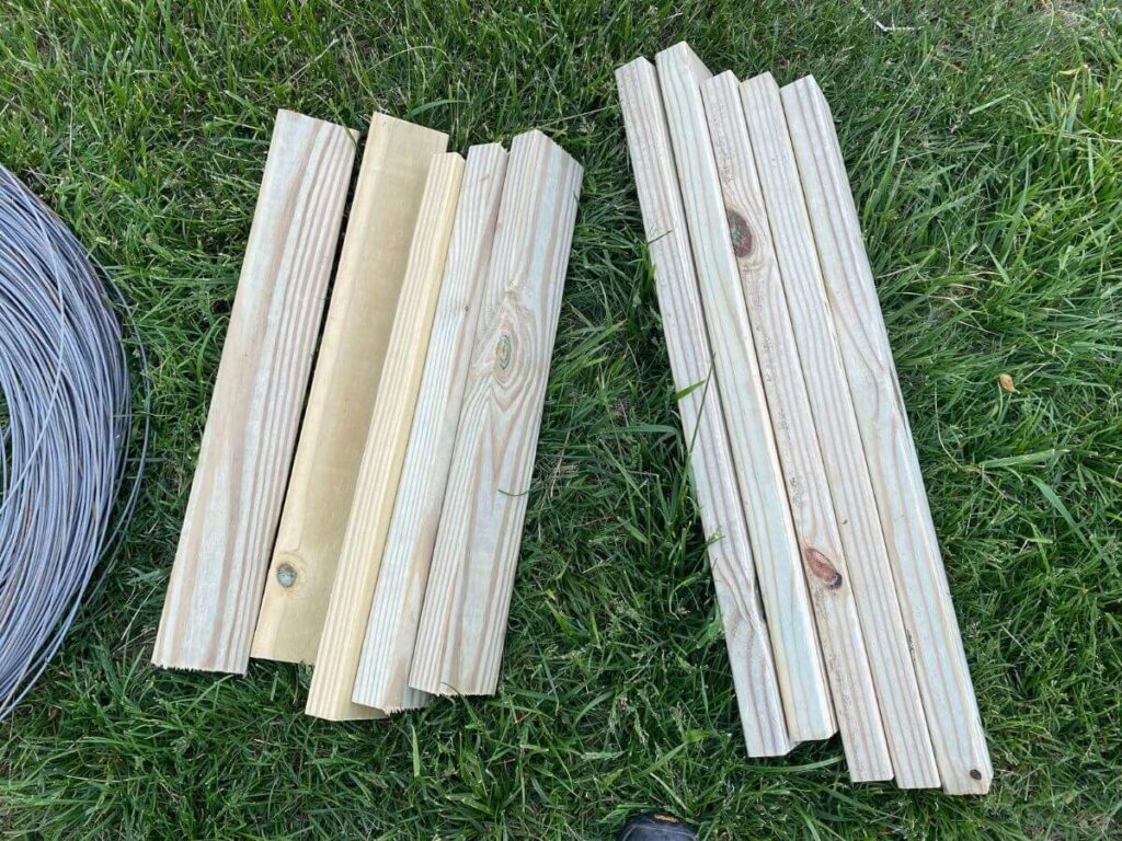 How to Build a T-Trellis for Raspberries and Blackberries (Step-by-Step ...