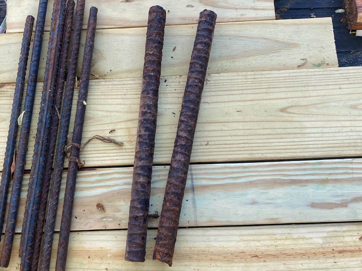 How to Build a T-Trellis for Raspberries and Blackberries (Step-by-Step ...